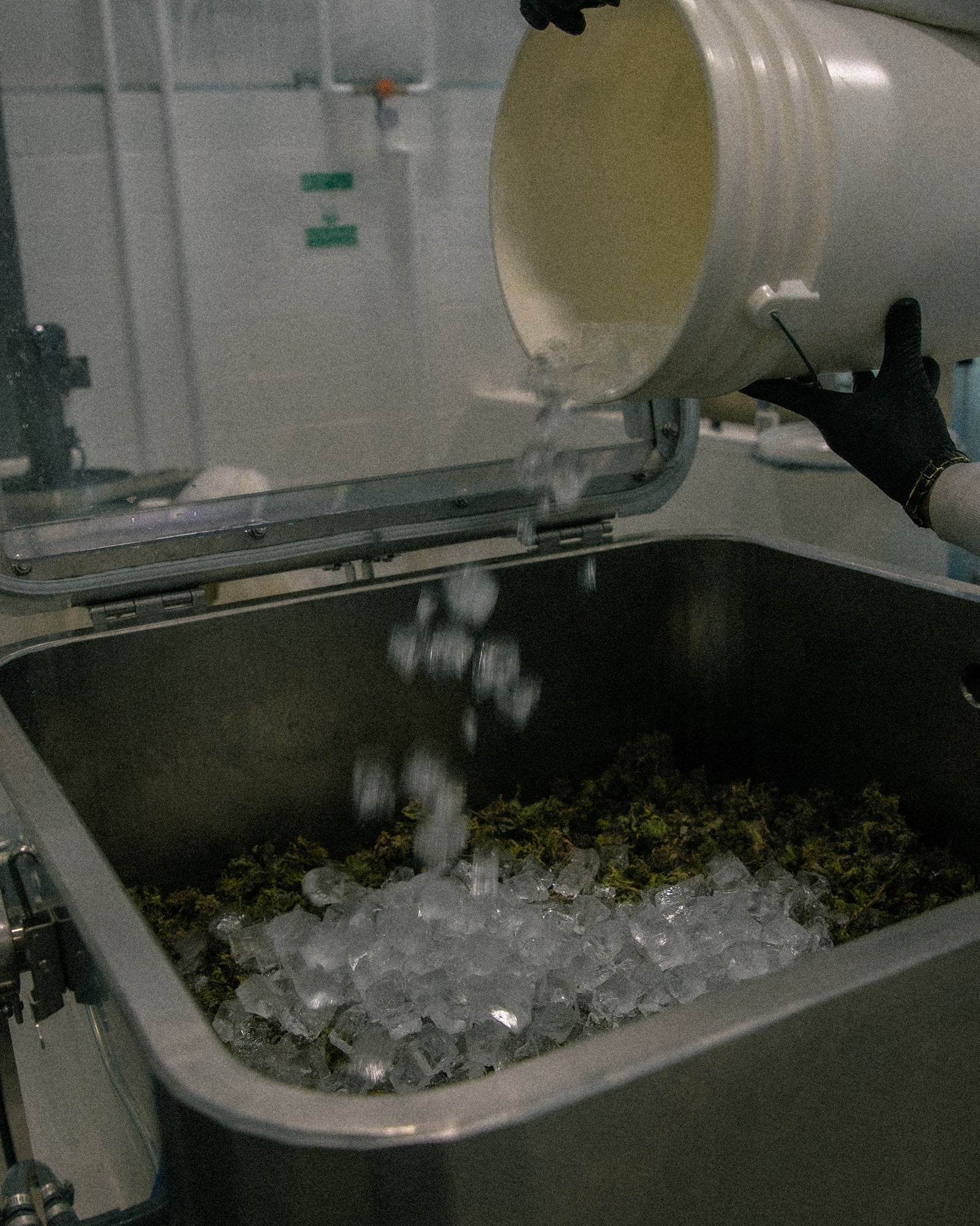 What is Ice Water Hash? | Nowave – NOWAVE